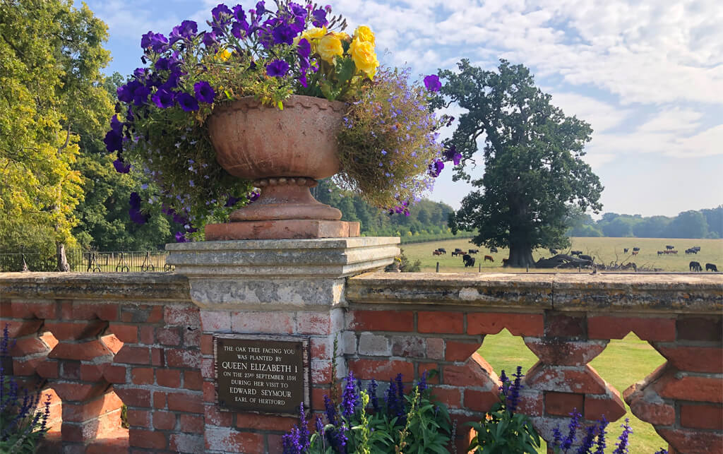 About Us | The Elvetham | Luxury Country House Hotel in Hampshire UK